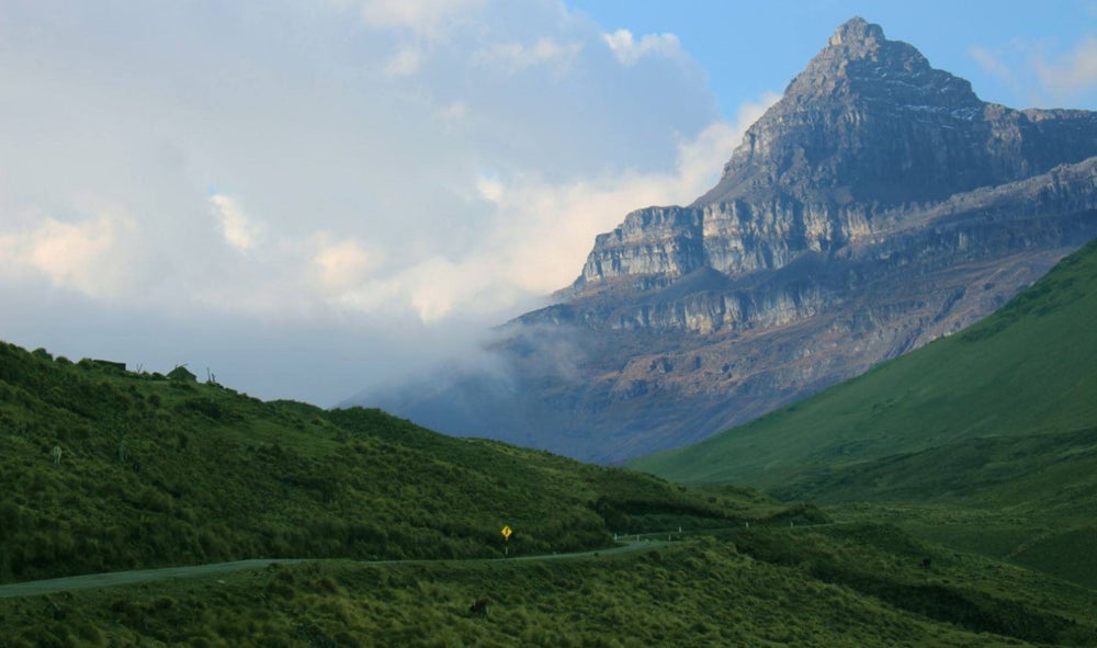 Sucafina Specialty: Locura Natural