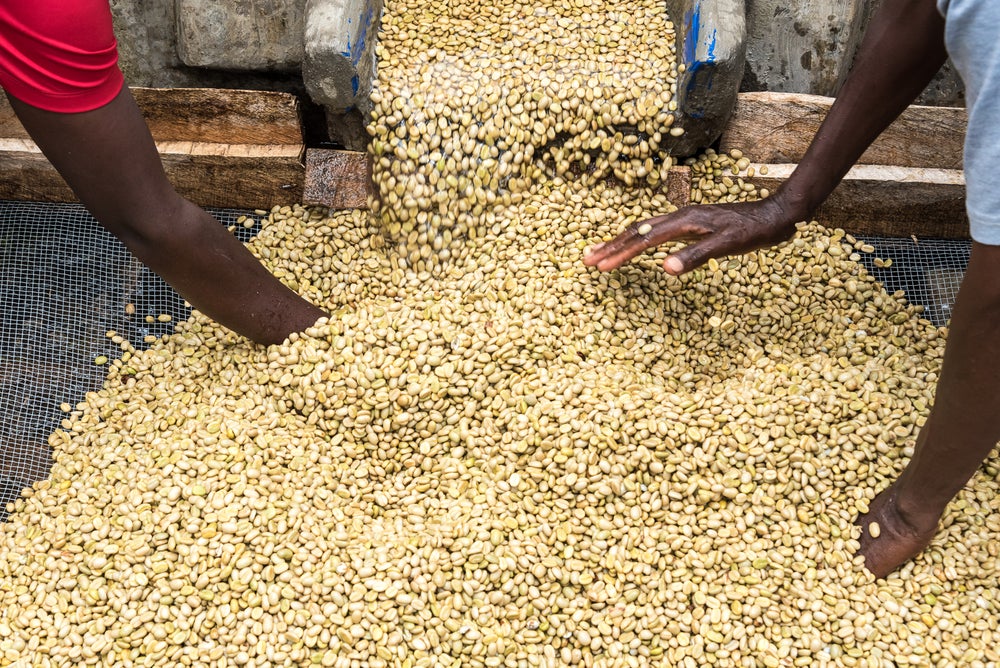 Sucafina: Kiangoi AA