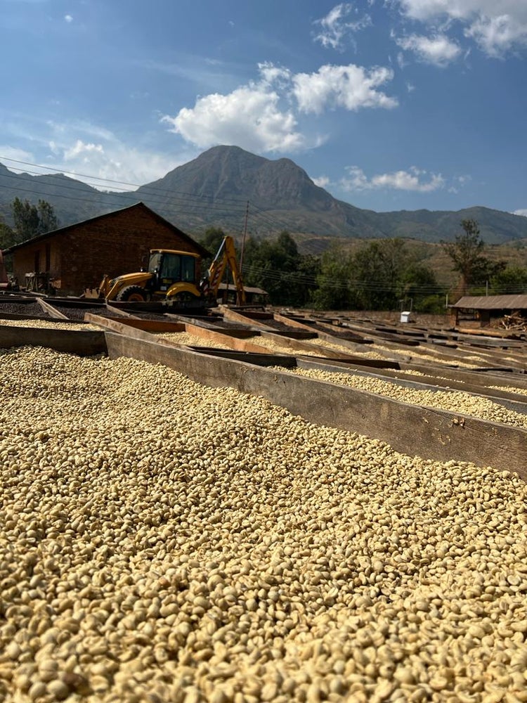 Sucafina: South FW AA