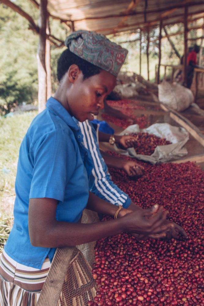 Sucafina: Kayumbu Natural