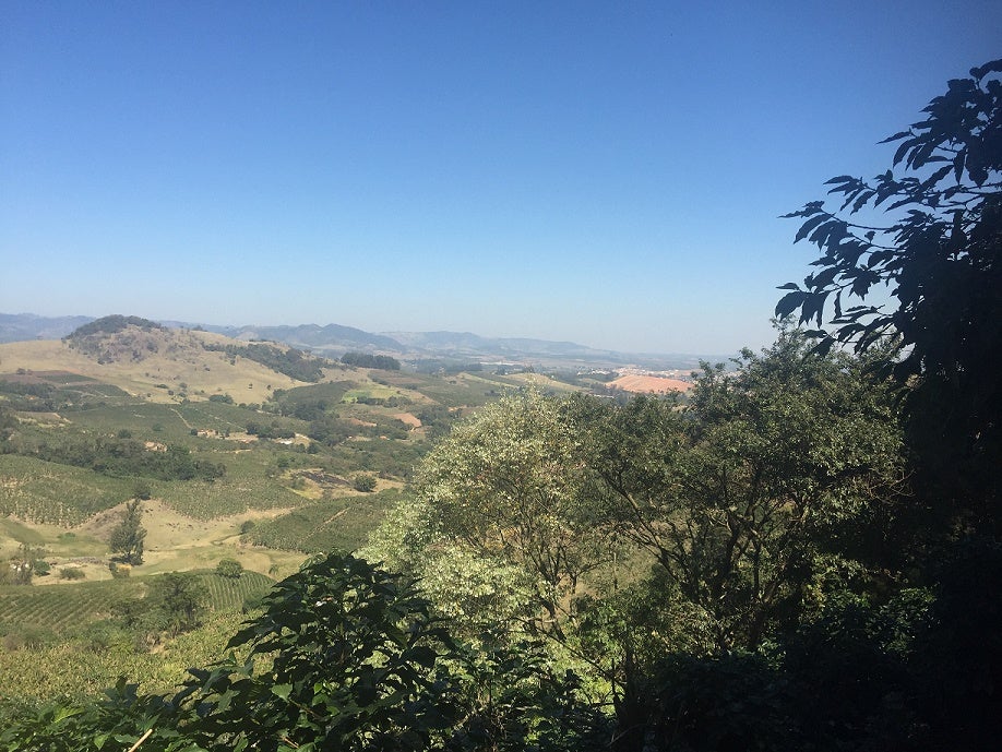 Sucafina: Santa Serra Yellow Catucai Natural