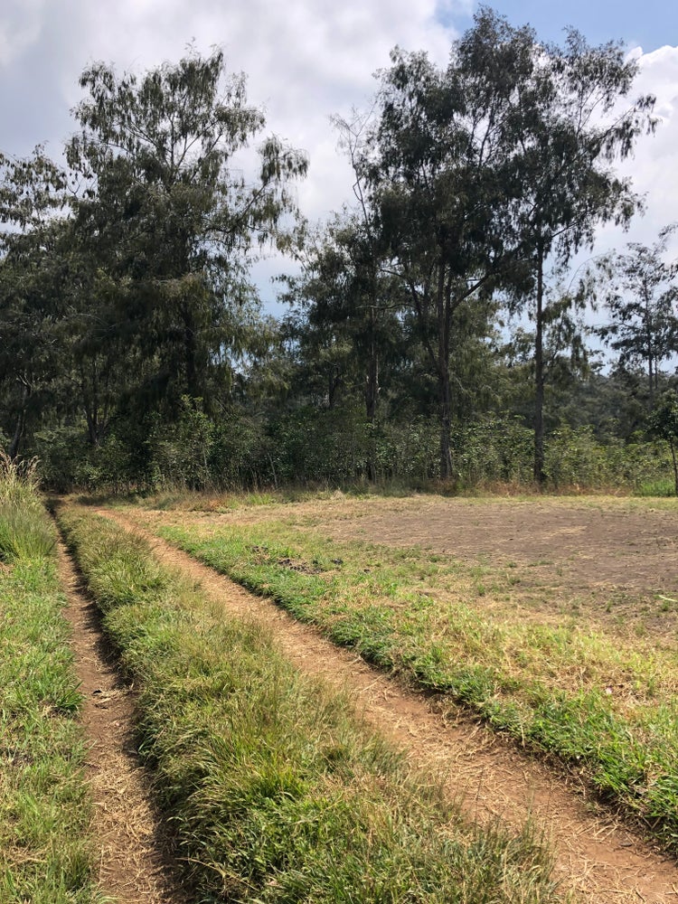 Sucafina: Boka Plantation Washed