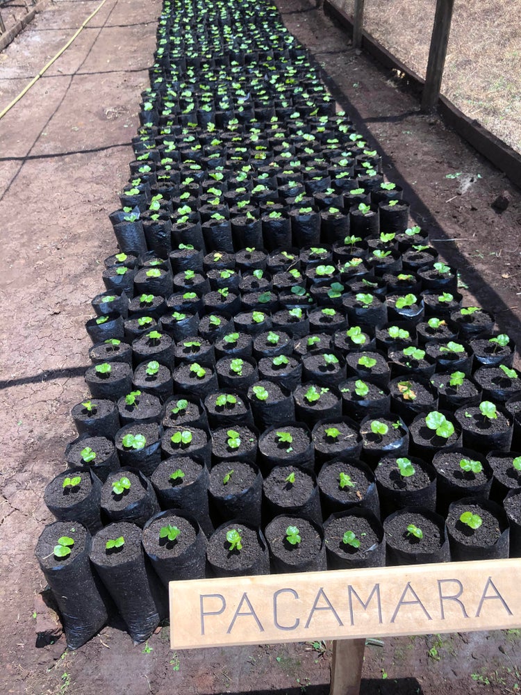 Sucafina: Tembo Tembo Fully Washed