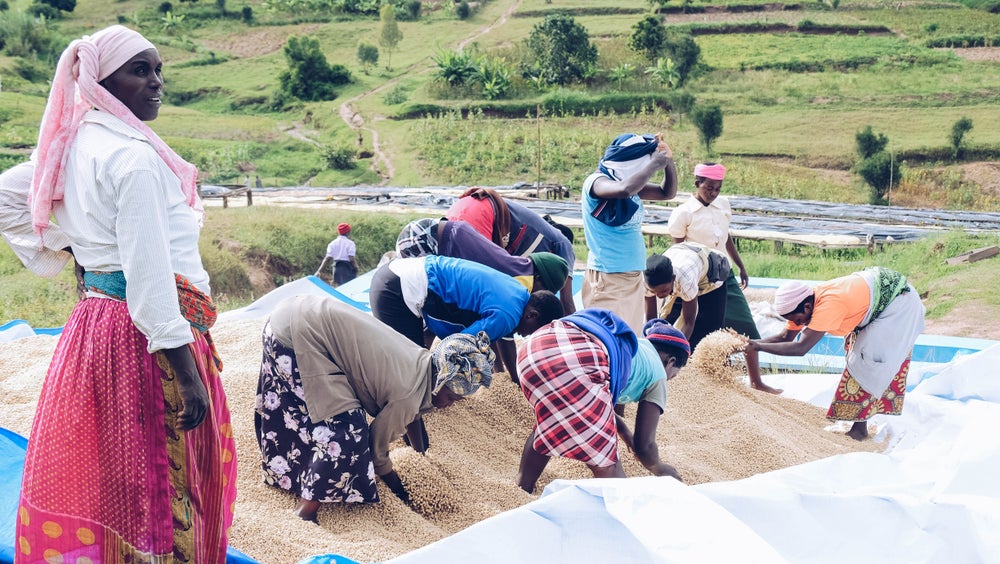 Sucafina: Nyakizu Fully Washed