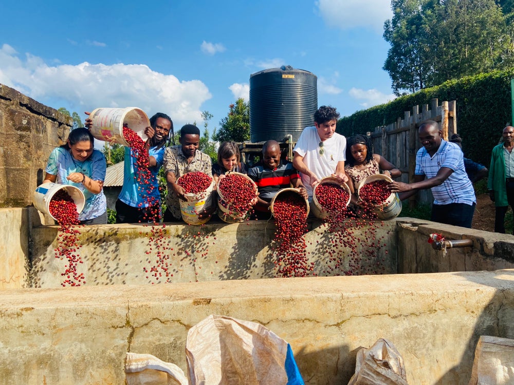 Sucafina: IMPACT Ambassadors on Implementing Sustainable Programs