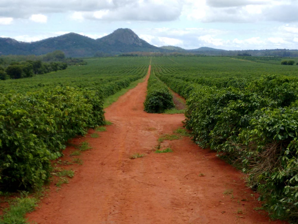 Sucafina: Sable Farms FW PB RFA