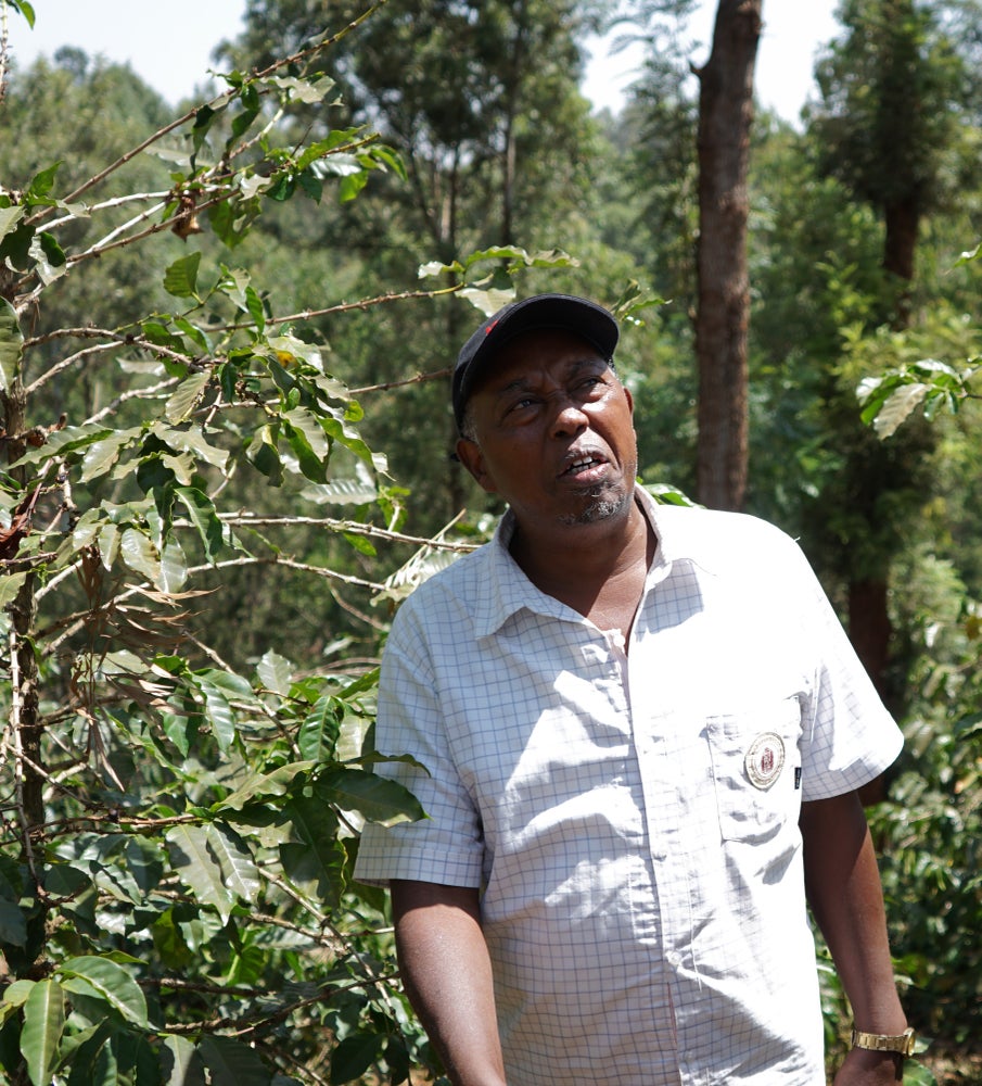 Sucafina: Juliana Kiambu AA