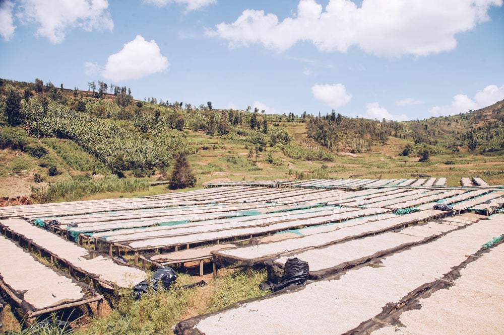 Sucafina: Nkora Fully Washed