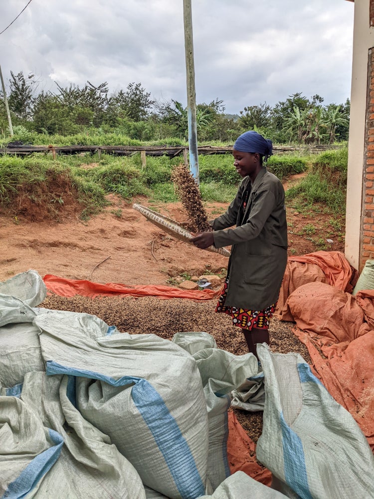 Sucafina: Karenge Natural