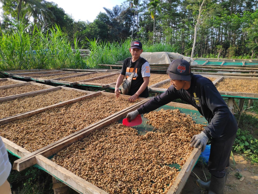 Sucafina: Belift Argopuro East Java Honey