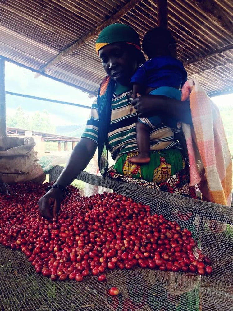 Sucafina: Bugestal Scr. 15+ Natural