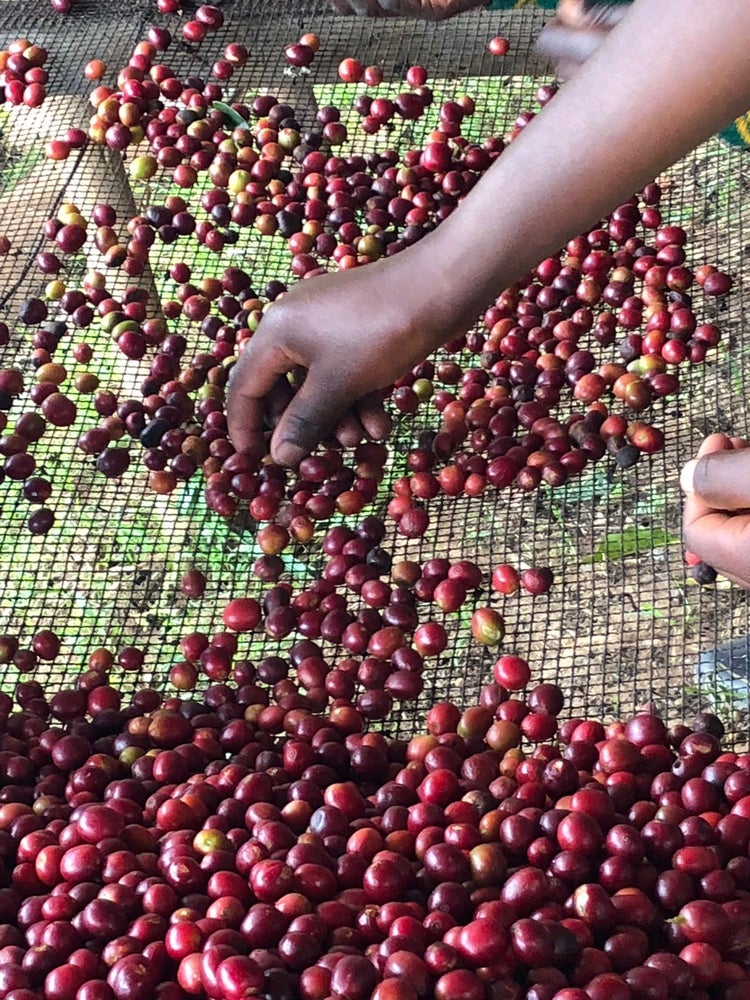 Sucafina: Dahwe Gisagara Natural