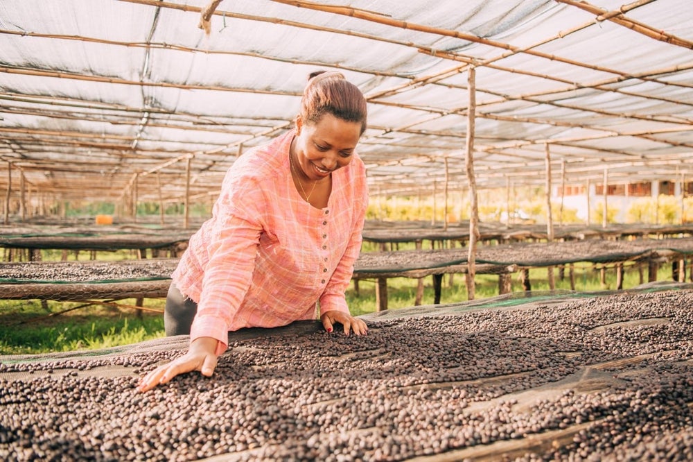 Sucafina: St. Georges Church Dumerso Yirgacheffe Natural Gr. 1 Organic