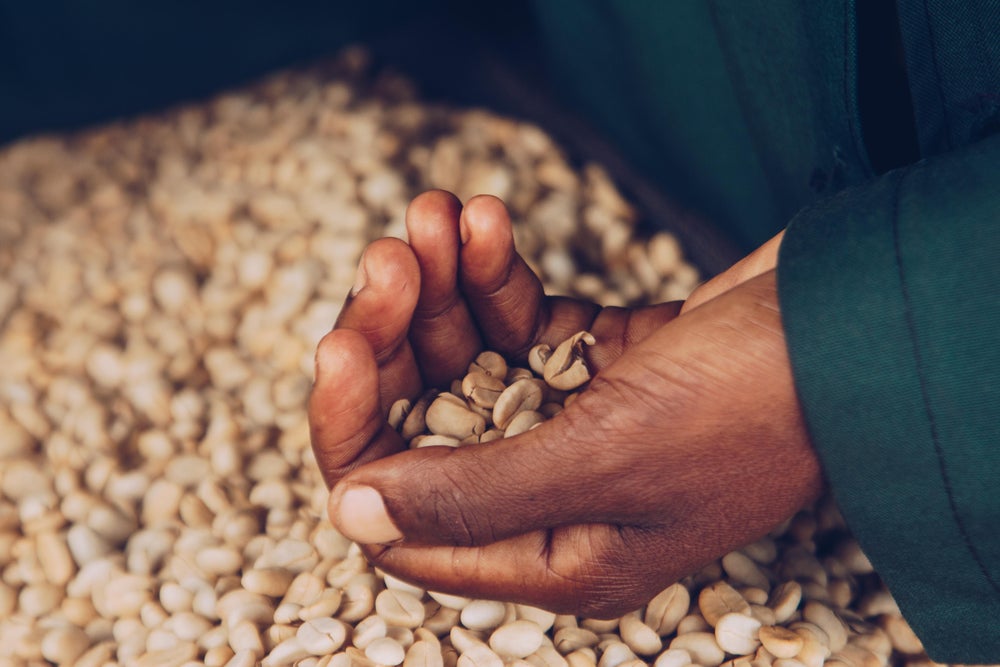 Sucafina Specialty: Muhura FW