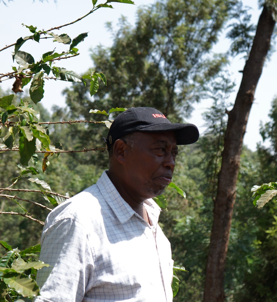 Sucafina: Juliana Kiambu PB