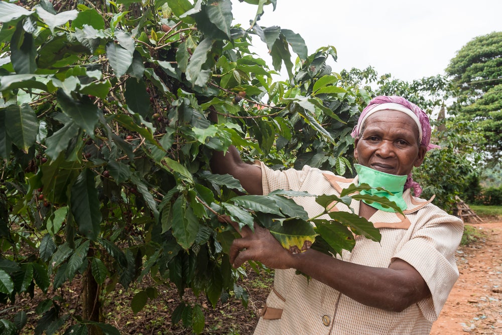 Sucafina Specialty: News