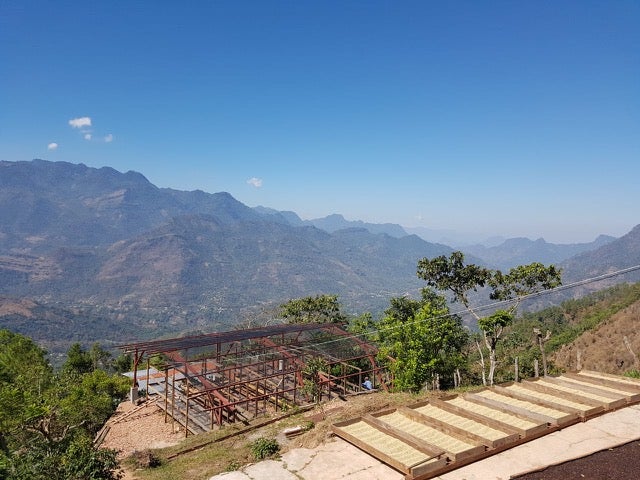 Sucafina: Huitz Matig Bourbon Natural