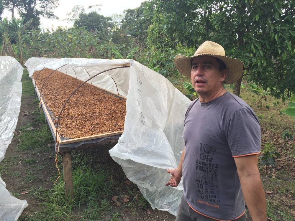 Sucafina: Hartmann Caturra Black Winey