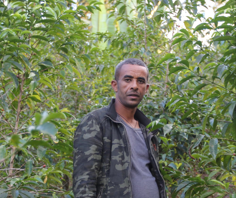 Sucafina: Abebe Hilu Yirgacheffe Natural Gr. 1