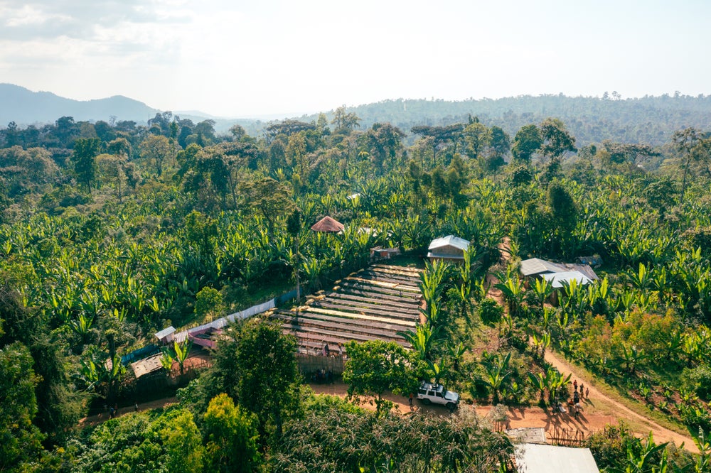 Sucafina: Nigist Girmachew Wegida Yirgacheffe Natural Gr. 1