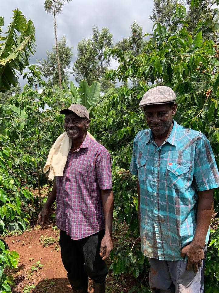 Sucafina: Ngewa-Komothai Kiambu AB