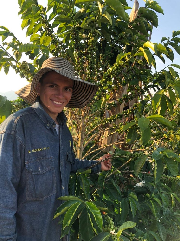 Sucafina: Duvan Cardenas Geisha Honey