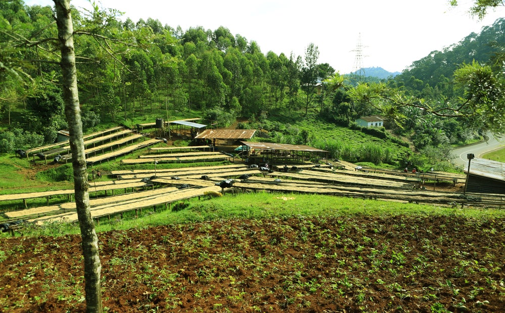 Sucafina: Akagera Natural