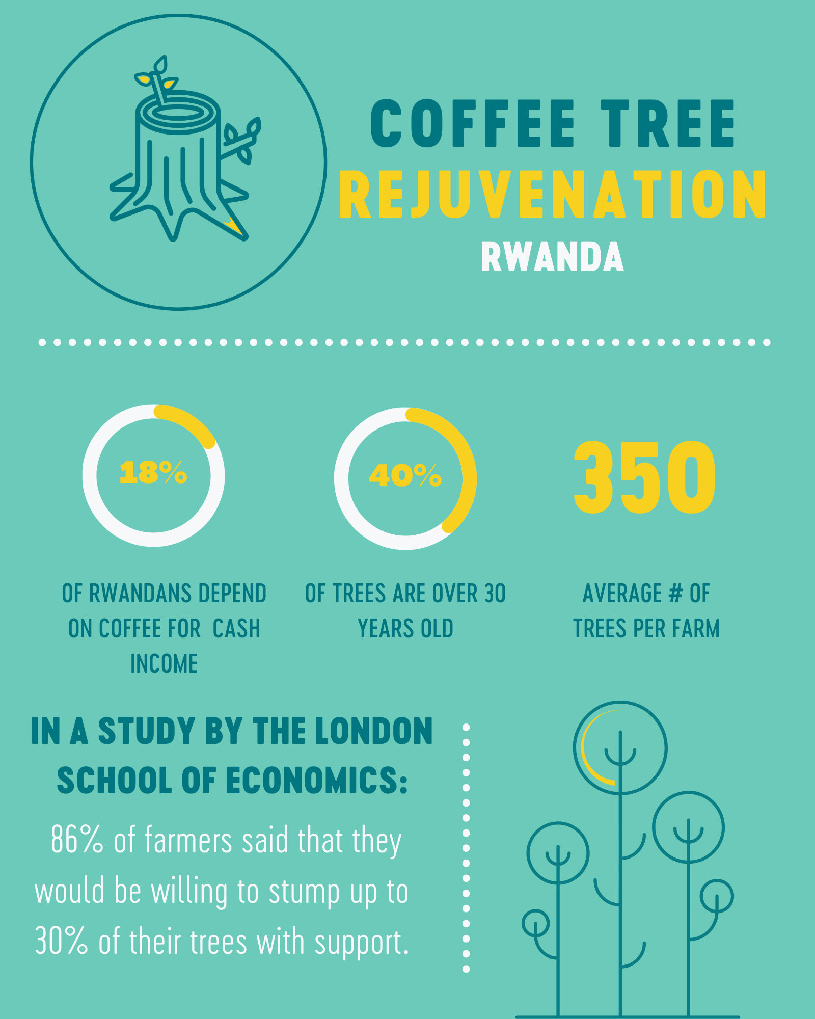 Sucafina: Coffee Tree Rejuvenation in Rwanda