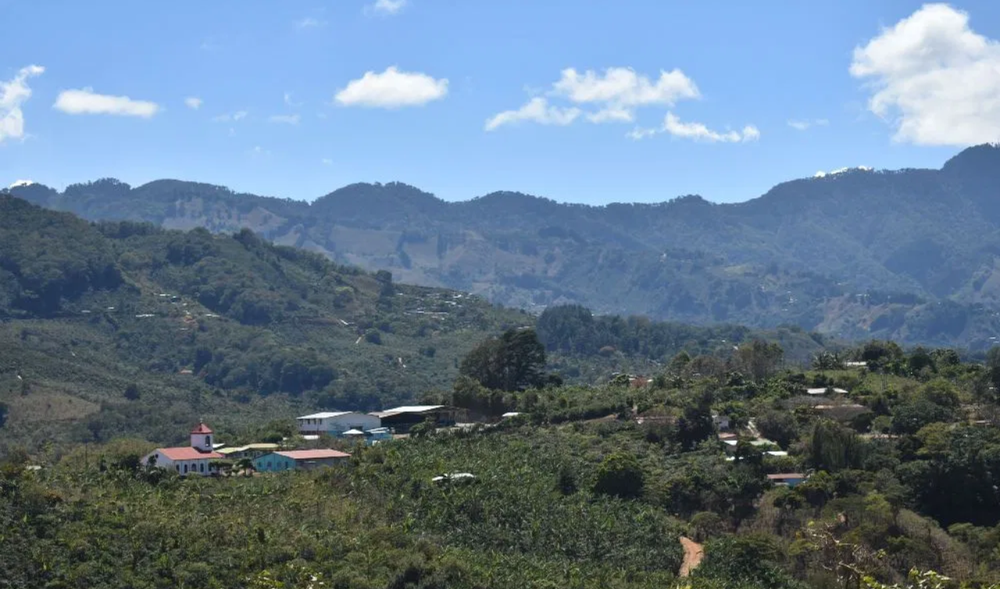 Sucafina: Coffee Nace Caturra Natural