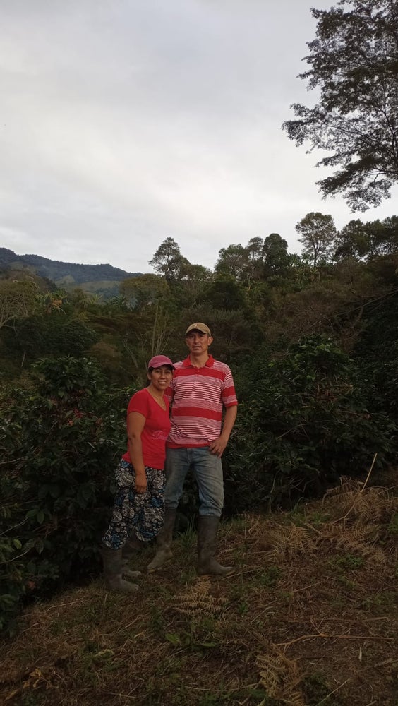 Sucafina: Nicolas Ome Pink Bourbon Natural