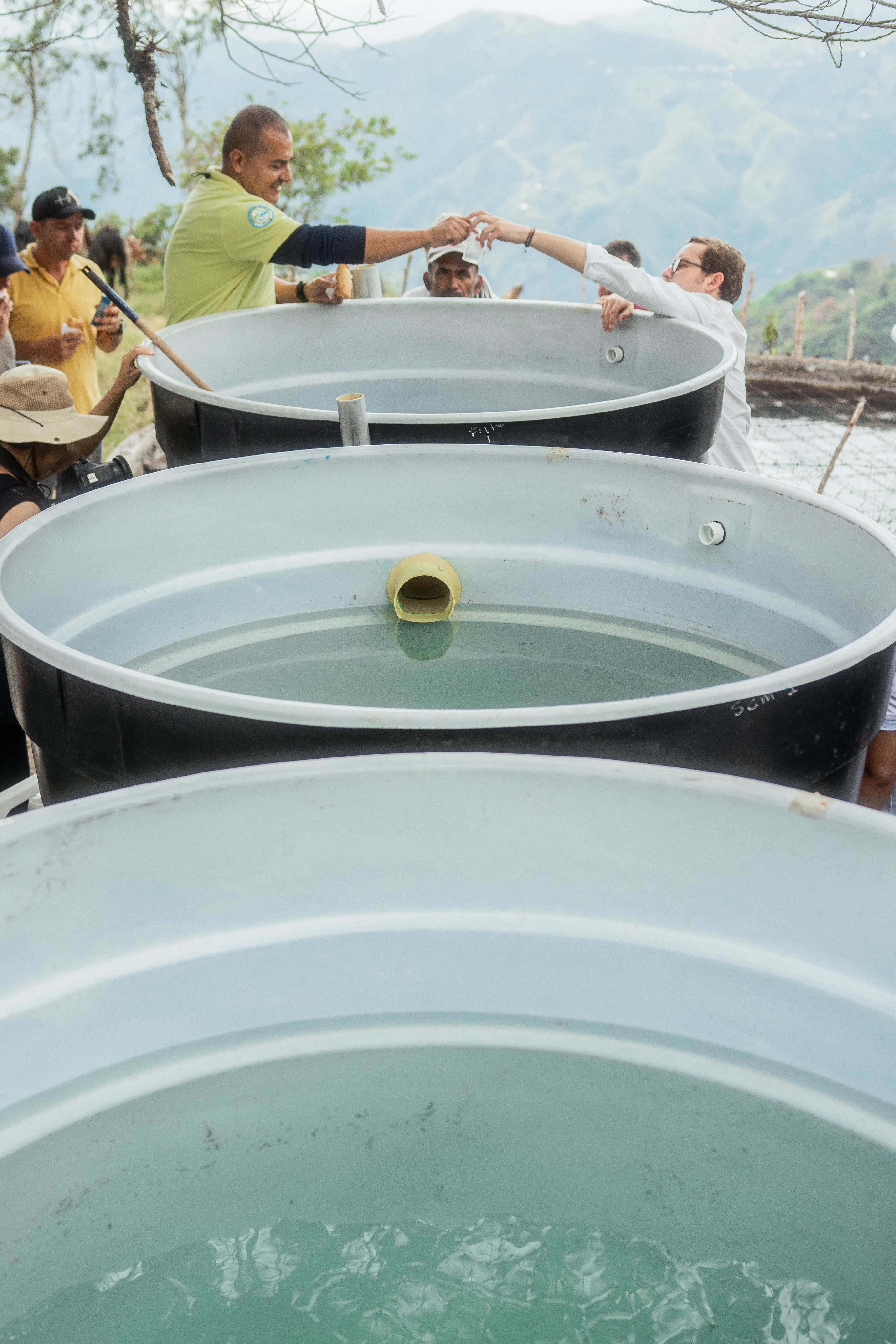 Sucafina: Colombia Coffee for Clean Water 2024 Update