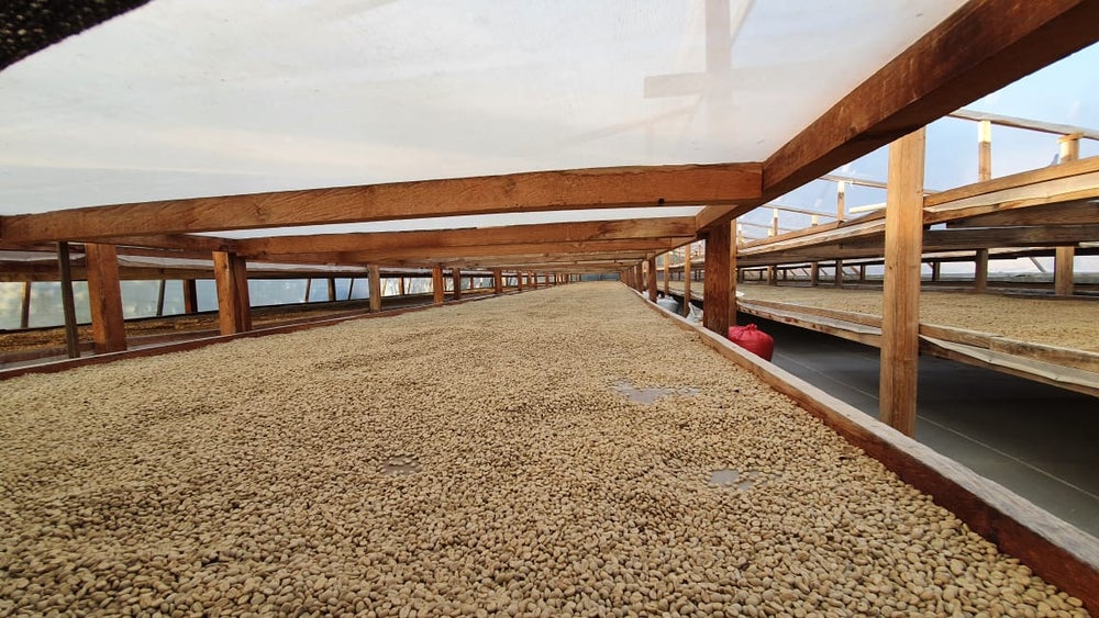 Sucafina: El Pinal Linda Vista Geisha FW