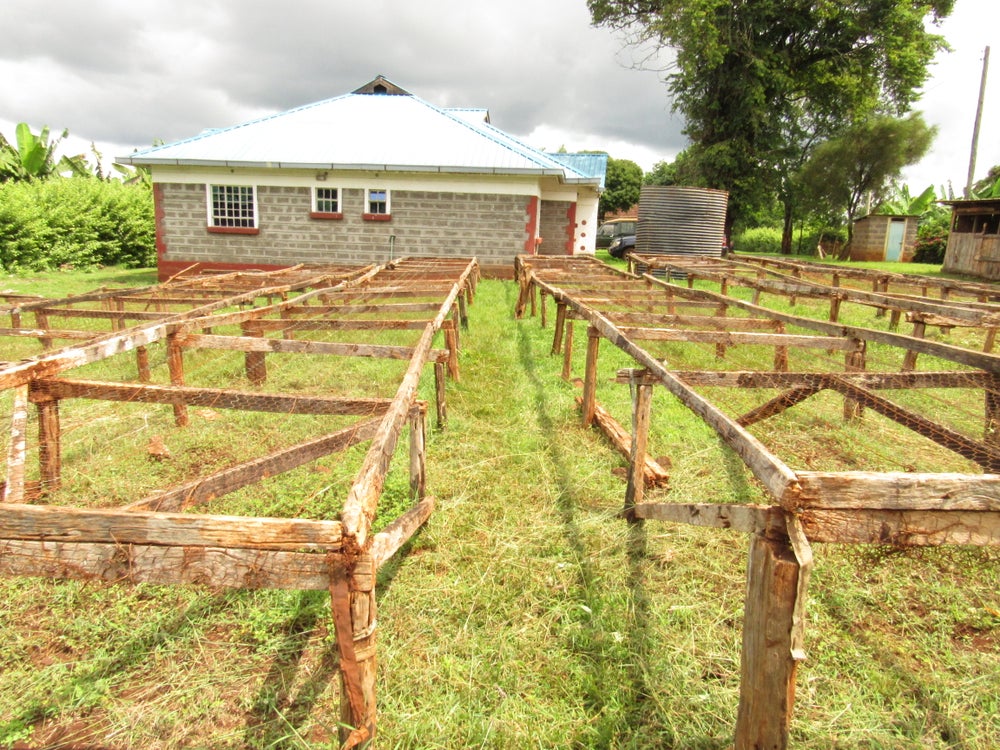 Sucafina: Spikes Kiambu AA