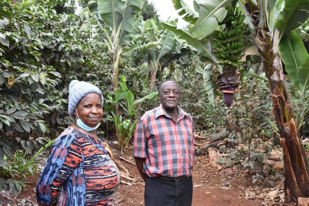 Sucafina Specialty: Docha Kiambu AB