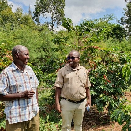 Sucafina: Building a Strong Supply Chain in Kenya