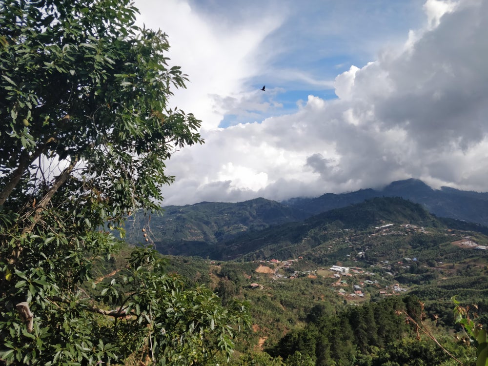 Sucafina: Comunidad Santa Cruz Tarrazu Fully Washed