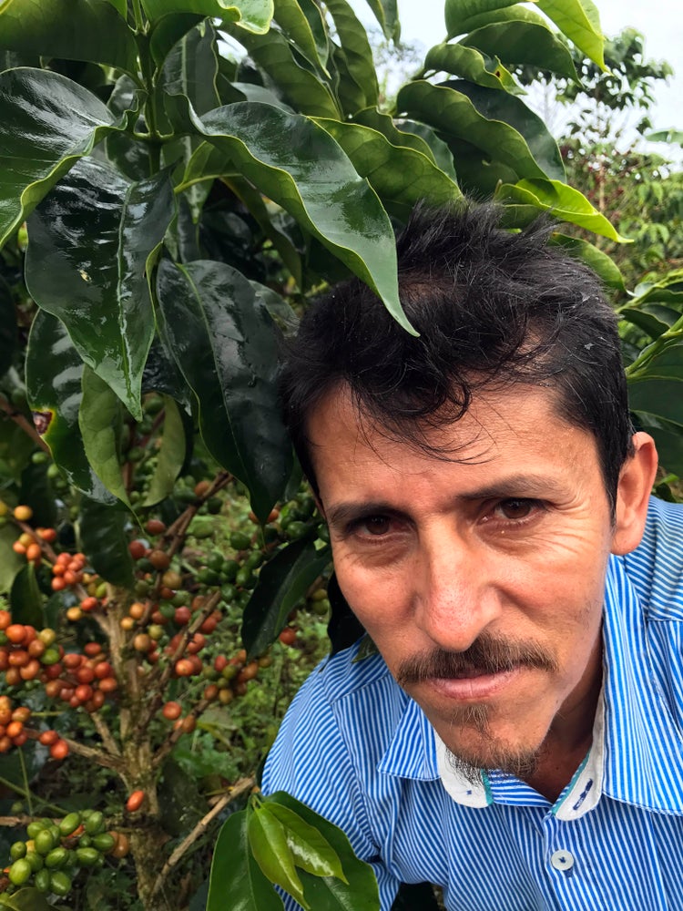 Sucafina: Luis Anibal Pink Bourbon Honey