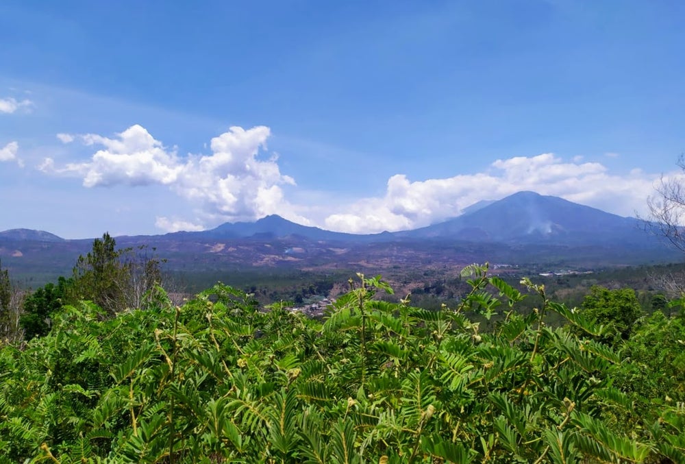 Sucafina: Belift Bondowoso East Java Natural