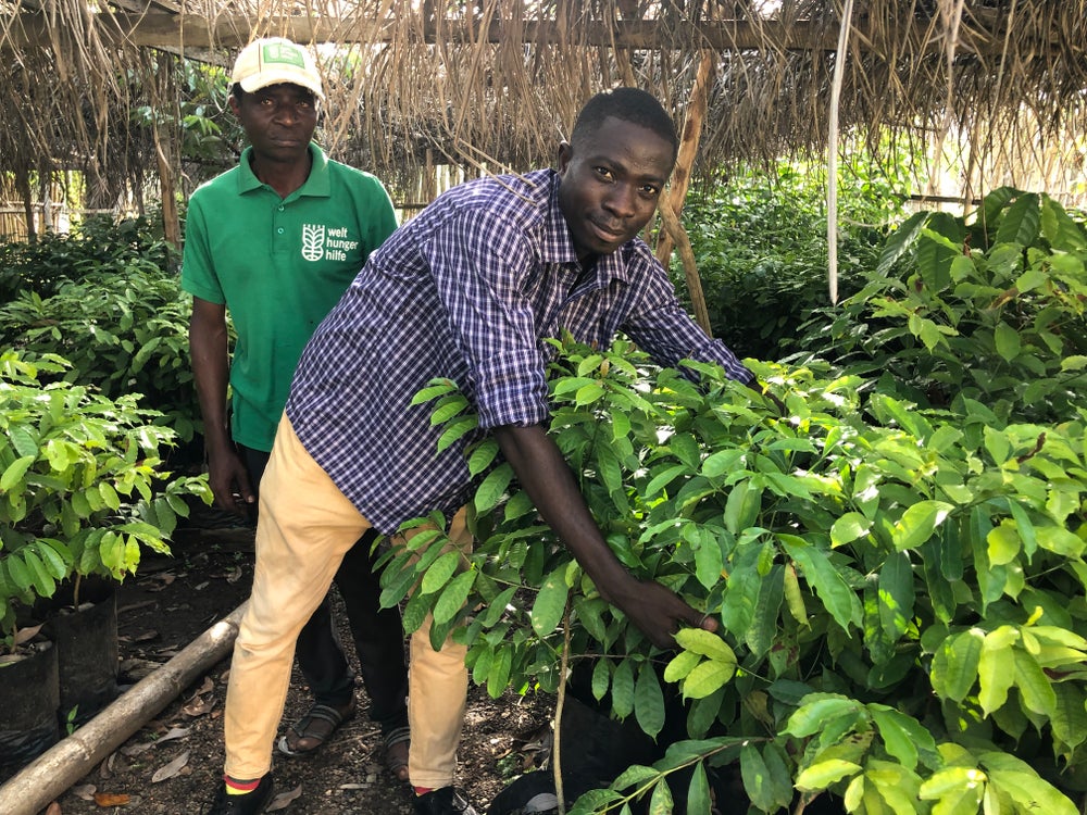 Sucafina: Unlocking the Potential of Stenophylla Coffee