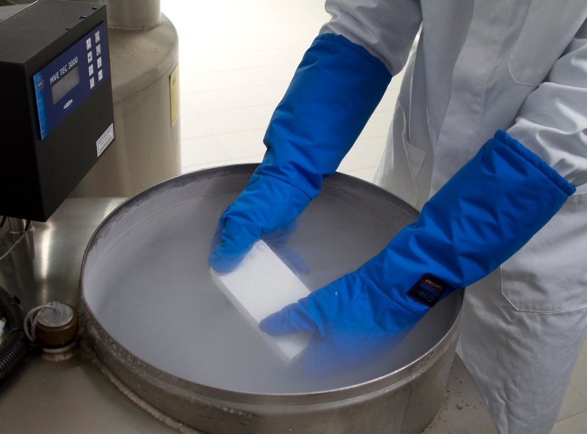 Stem Cell Bank | DKMS