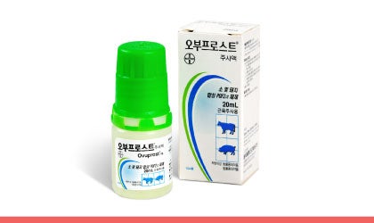한국 엘랑코 | 돼지, Swine Products