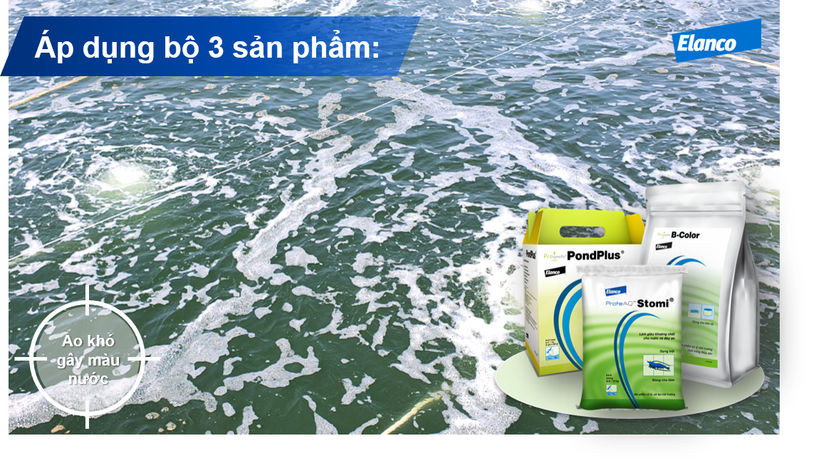 Proquatic B-Color | Elanco Việt Nam