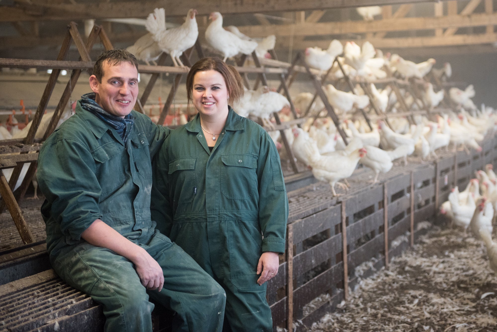 Testimonial Frank Rooijakkers