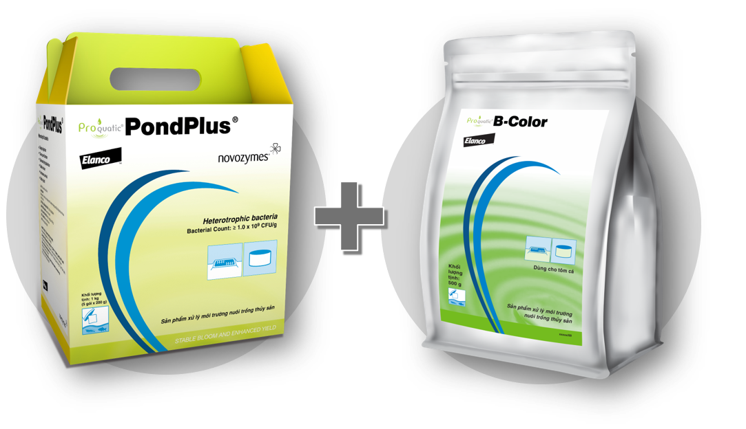 Proquatic B-Color | Elanco Việt Nam