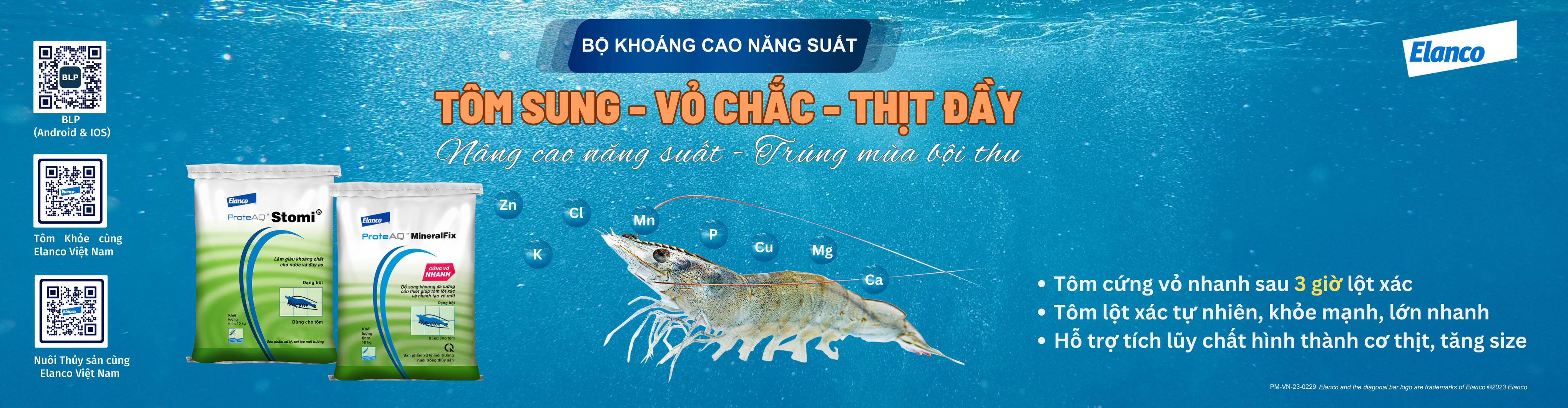 Khoáng | Elanco Việt Nam
