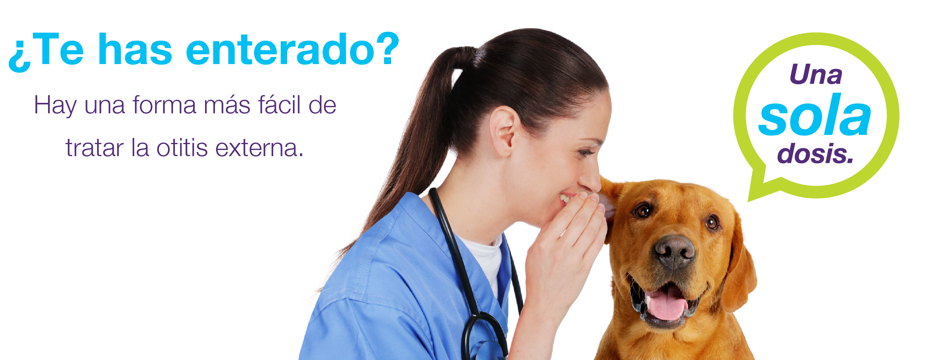 Neptra® | Acaba con la otitis externa en perros