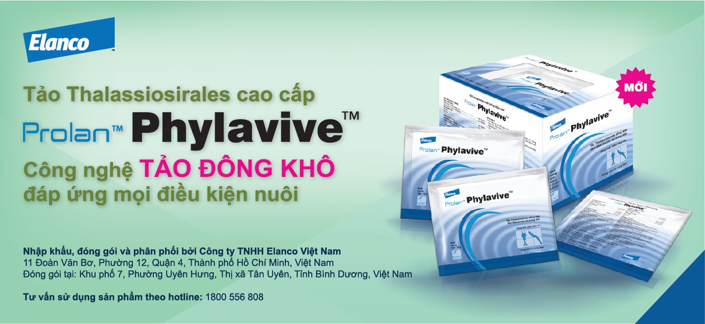 Prolan Phylavive | Elanco Việt Nam