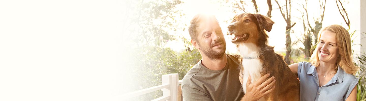 Foresto pre psov | Foresto