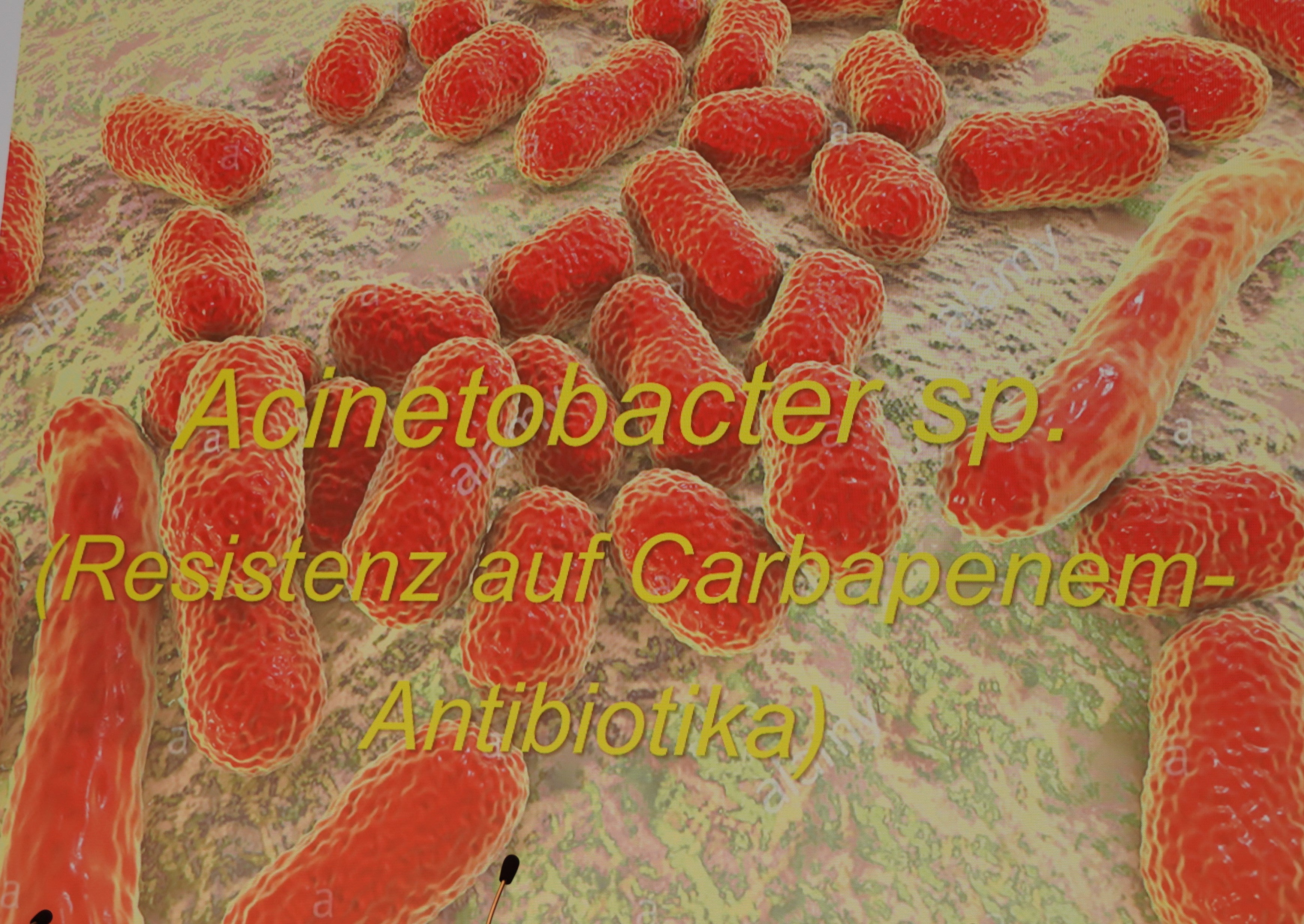 Corretto uso degli antibiotici | Azienda Sanitaria dell’Alto Adige