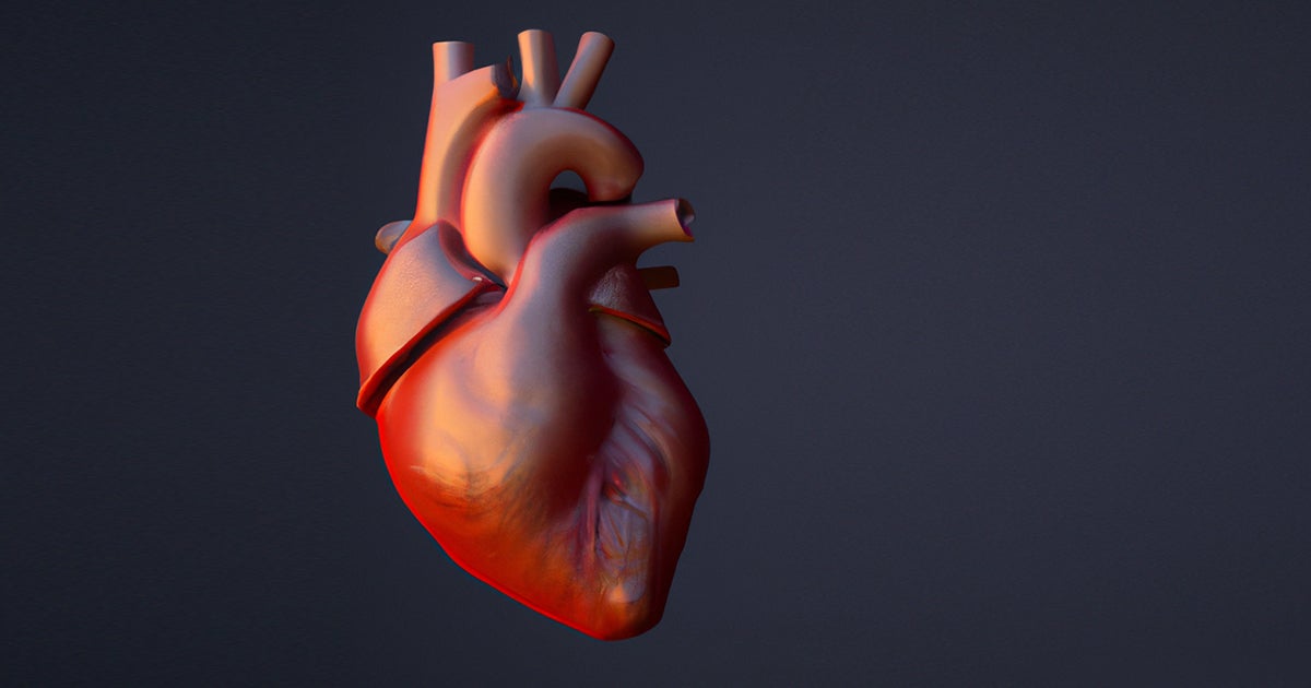 Ziekte beter begrijpen met nagebootst mensenhart - UMC Utrecht